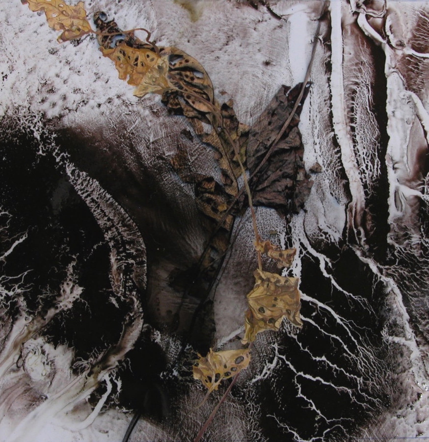 Coastal Path 2006-15 Archives - Michael Porter, Artist
